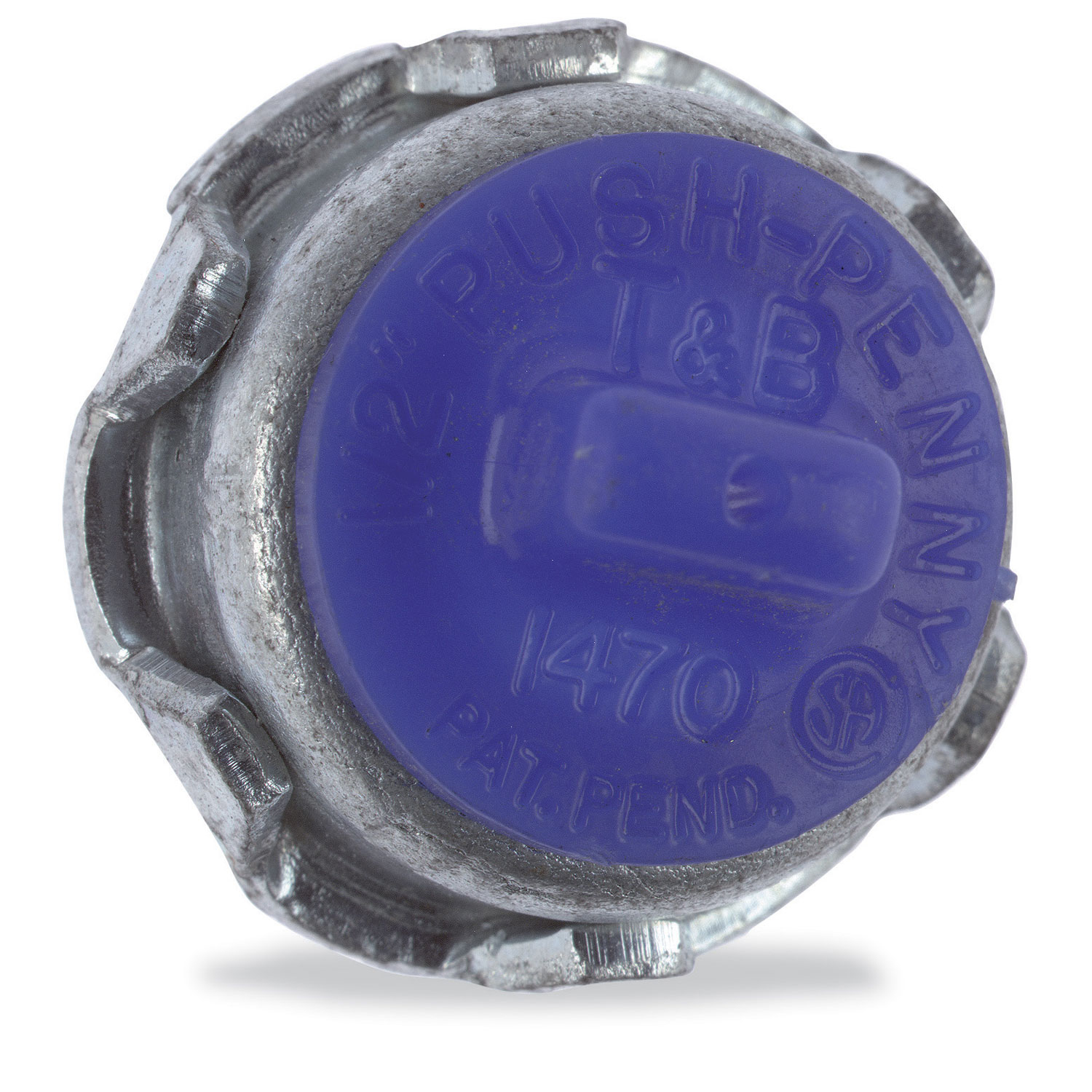Thomas & Betts 1465 2" Capped Bushing, Malleable Iron | OneSource ...