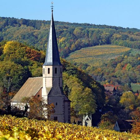 Alsace in the Fall - copyright enfrige - Viking Range, LLC